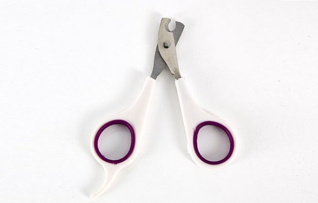 Best Rabbit Nail Clippers + How to Cut - Petaddon