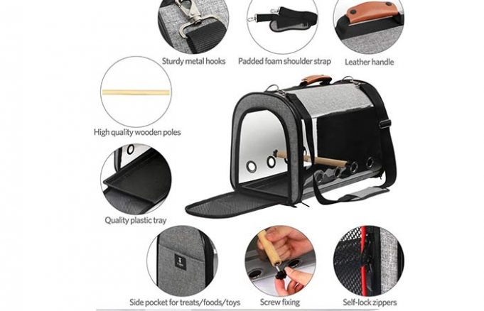 Best Bird Carrier Backpacks & Cages for Travel: Small & Large Birds ...