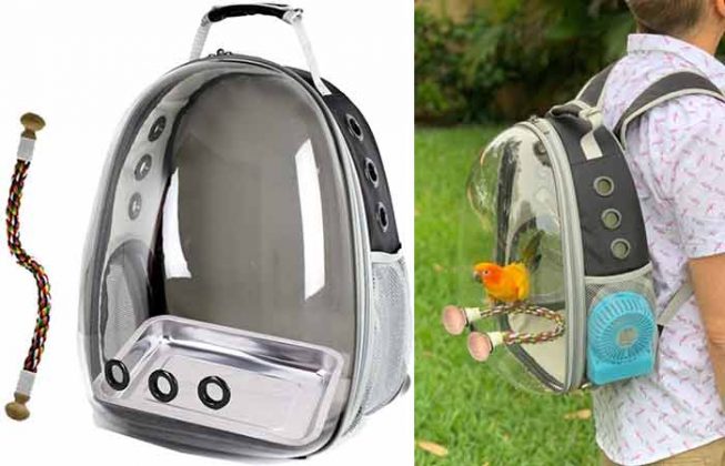 Best Bird Carrier Backpacks & Cages for Travel: Small & Large Birds ...