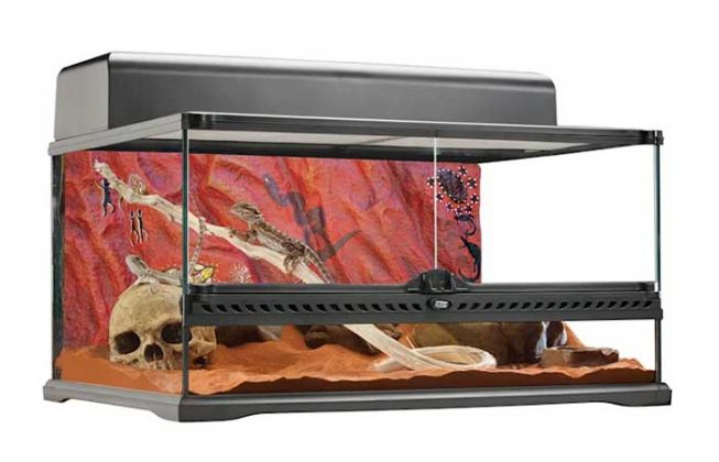 Best Bearded Dragon Cages/Terrariums - Petaddon