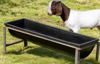 Goat Waterers: Automatic, Trough & Heated + Watering Ideas and Tips ...