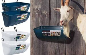 Goat Waterers: Automatic, Trough & Heated + Watering Ideas and Tips ...