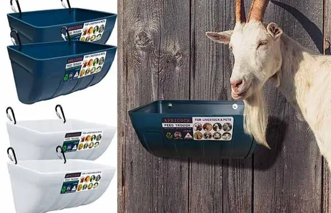 Goat Waterers: Automatic, Trough & Heated + Watering Ideas and Tips ...